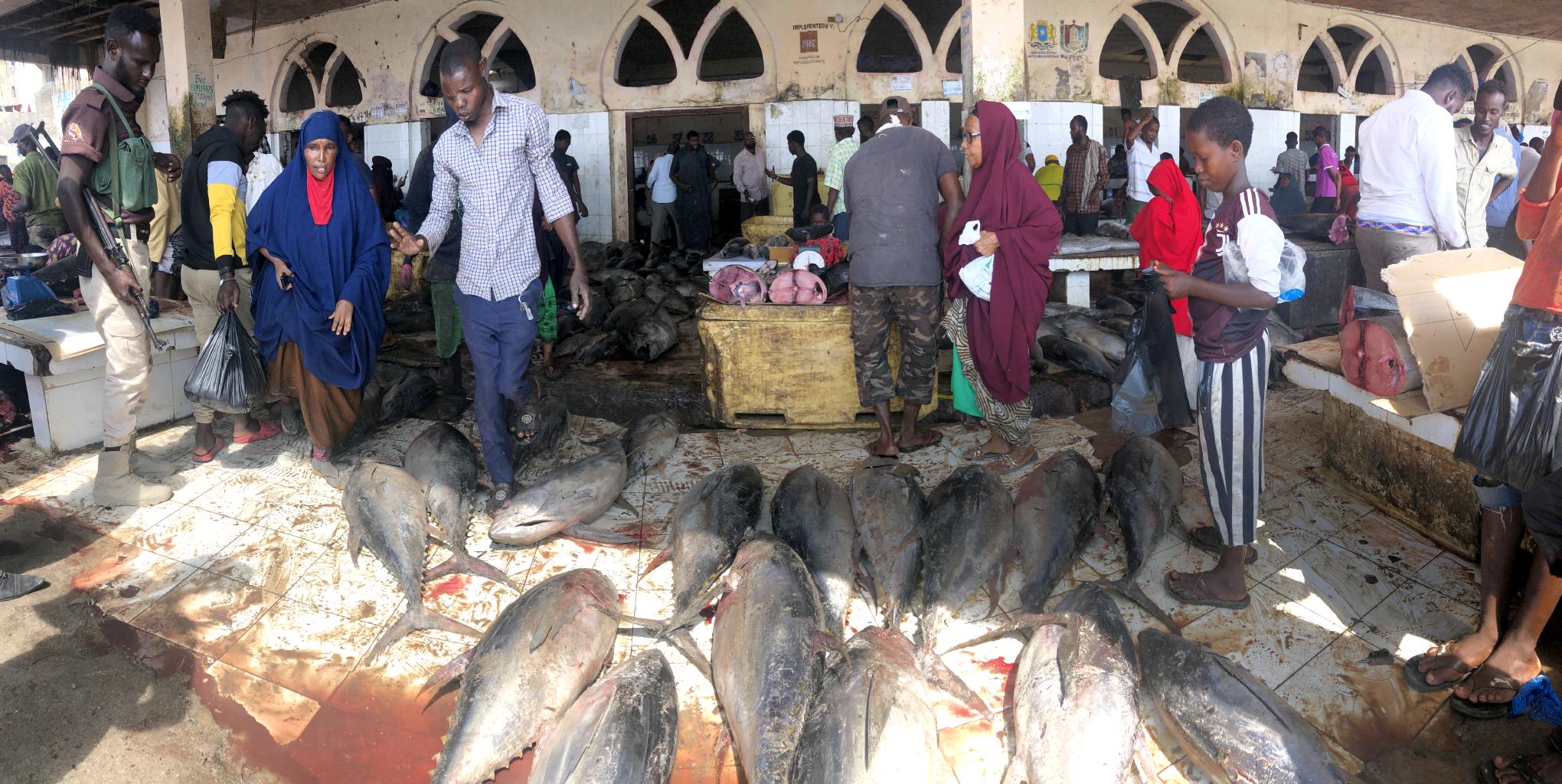 Somalia – Sailing Away — 2022