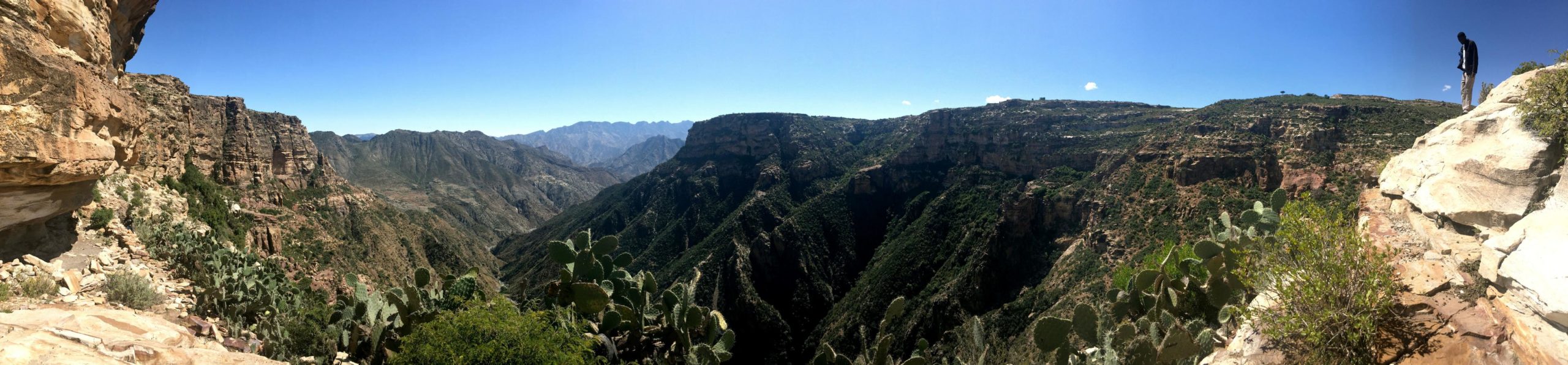 Eritrea — Italian Africa – The Near East — 2020