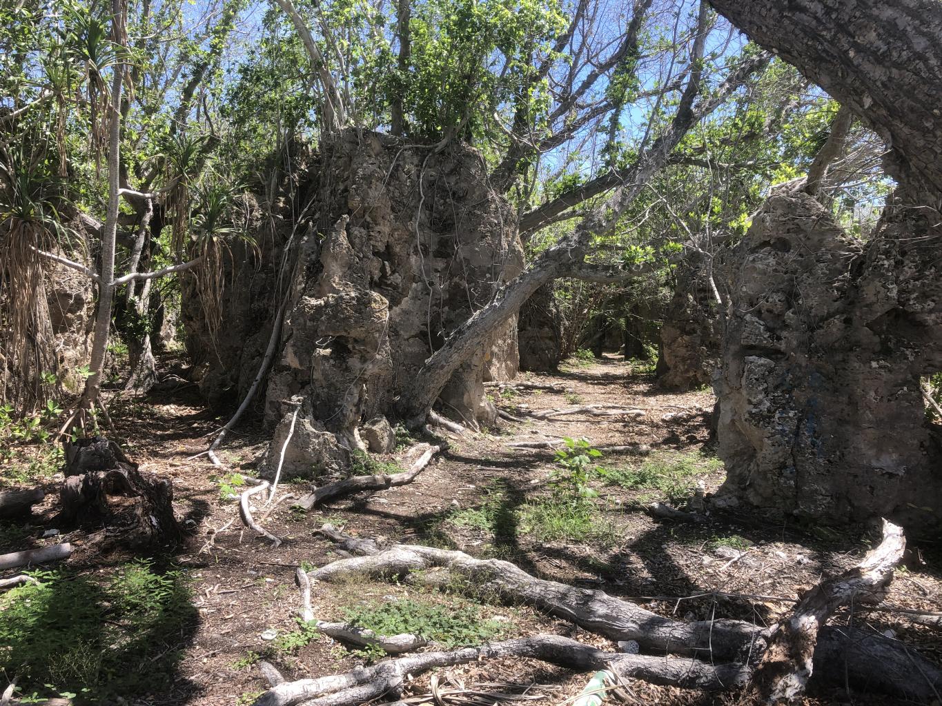 Nauru – Faraway Places — 2023