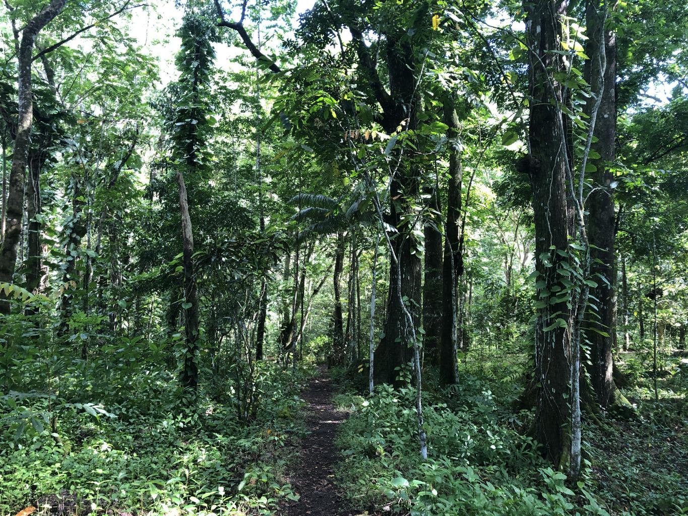 Samoa – Faraway Places — 2023