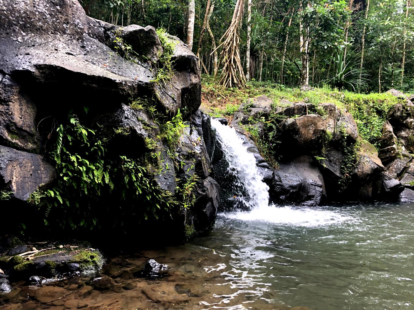 Samoa – Faraway Places — 2023